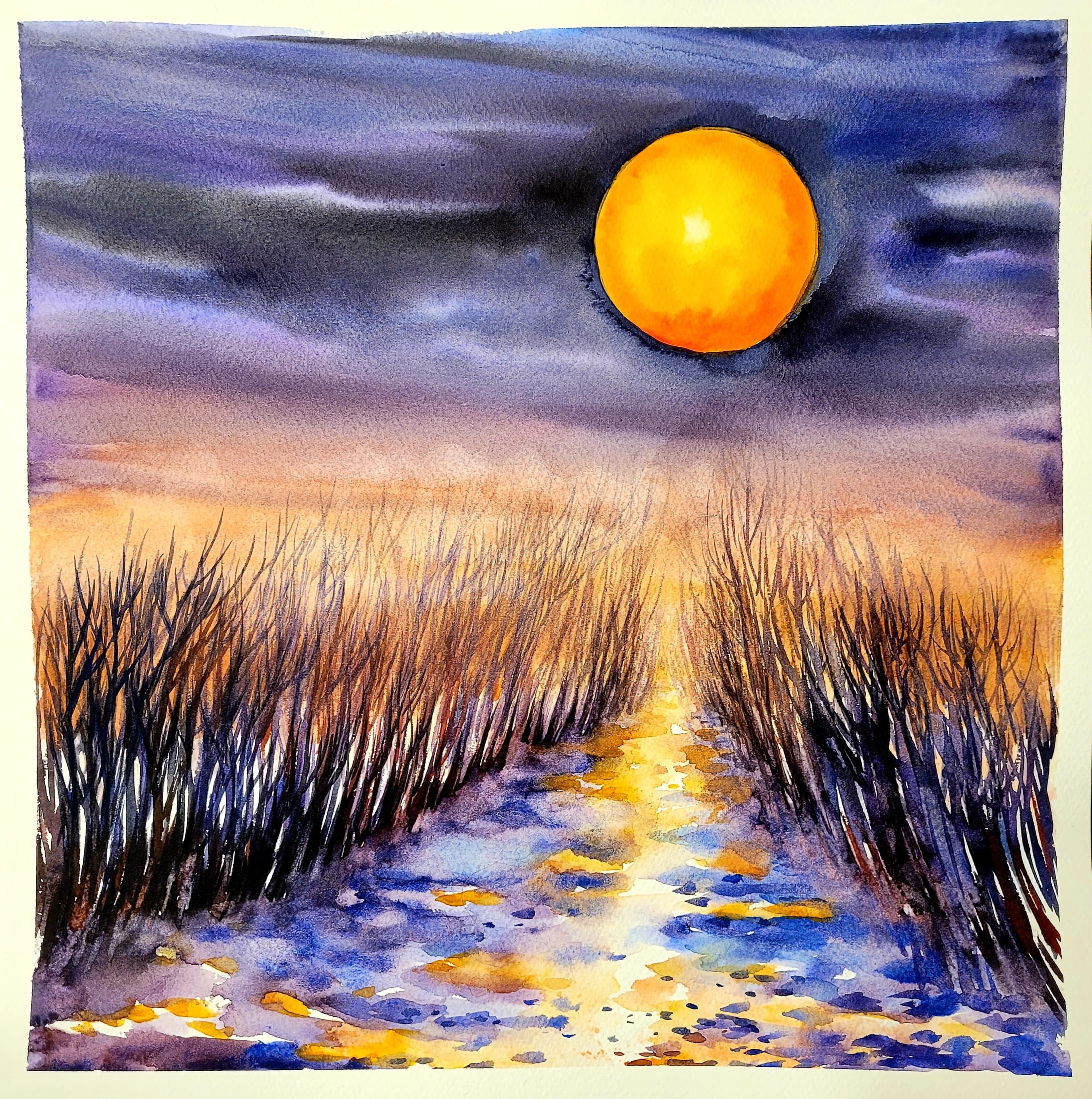 Shuborno Biswas - Compositions